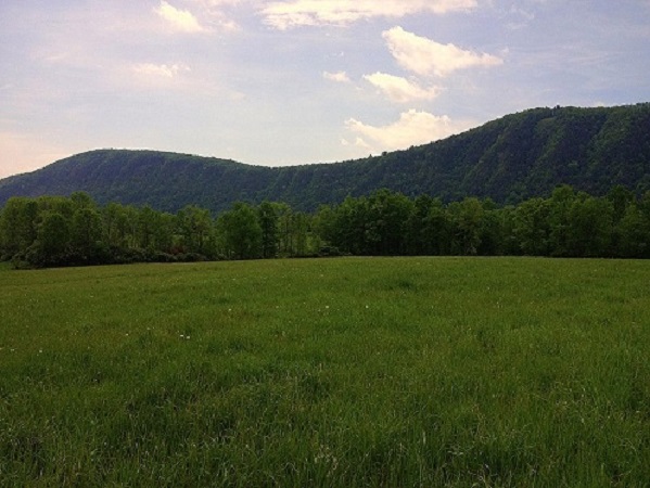 Chesapeake Conservation Partnership » Big Flats Addition