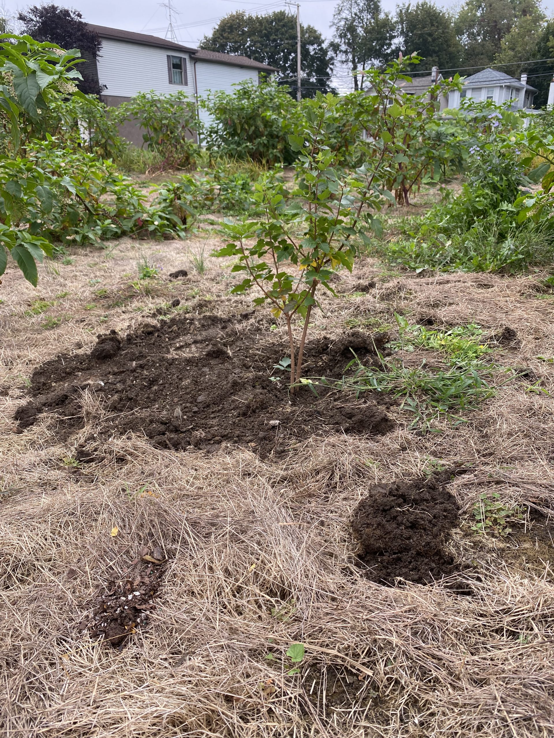 Chesapeake Conservation Partnership » Central Pennsylvania Universities