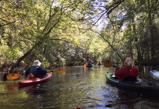 Chesapeake Conservation Partnership » Dragon Run Preservation